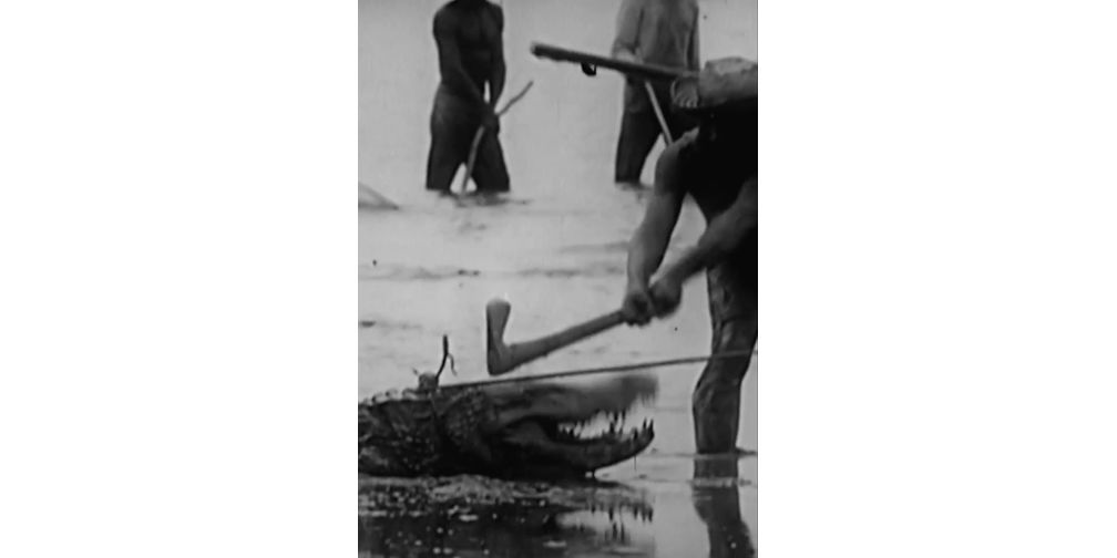 COCOCYCLE | Pepe.wtf